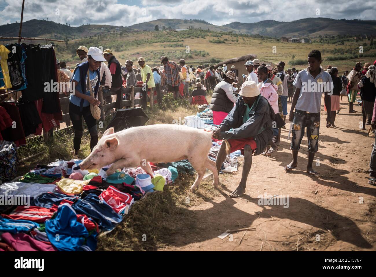 Madagascan pig market hi-res stock photography and images - Alamy