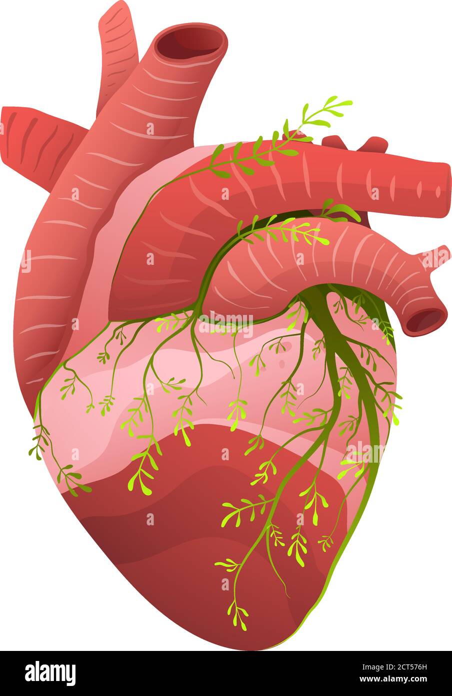 Cardiology metaphor hi-res stock photography and images - Alamy