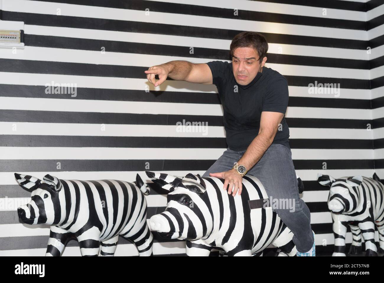 Funny Persian man riding zebra pig structure and pointing finger in ...