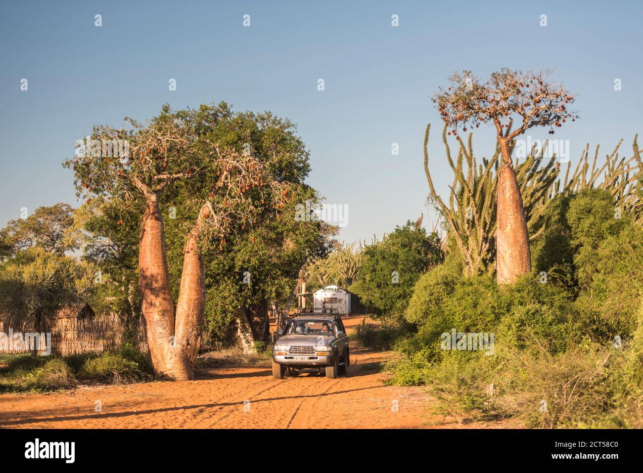 4wd madagascar off road hi-res stock photography and images - Alamy