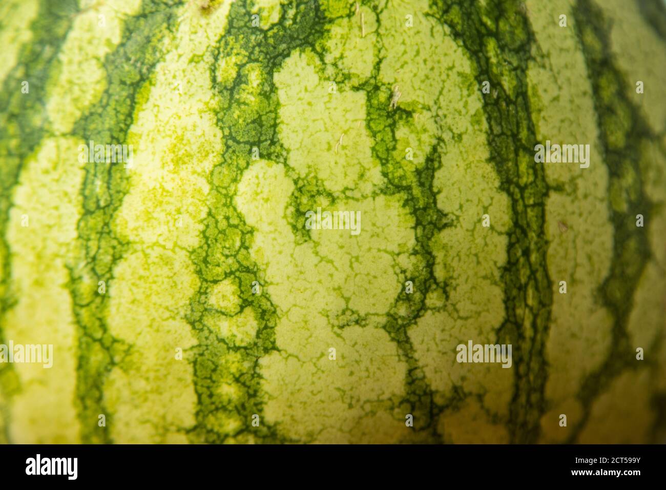 Closeup shot of fresh watermelon Stock Photo - Alamy