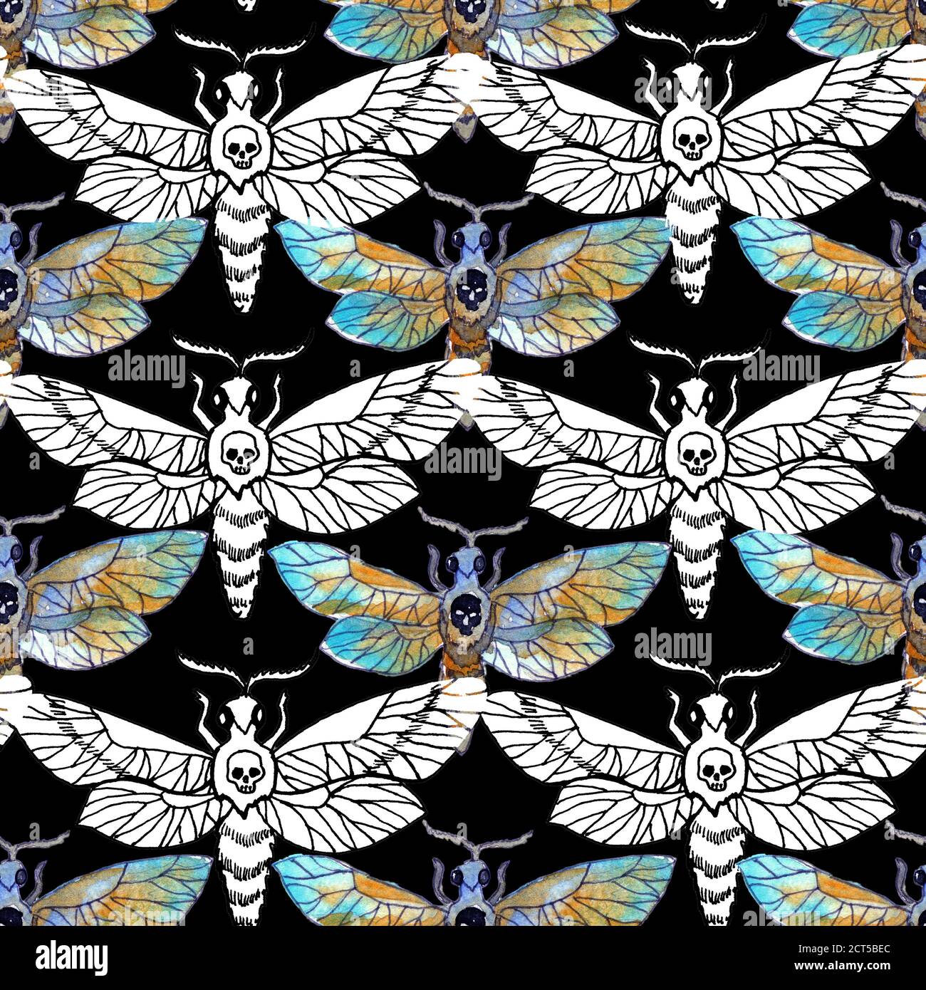 Seamless pattern with graphic and watercolor drawing of moth insect on ...