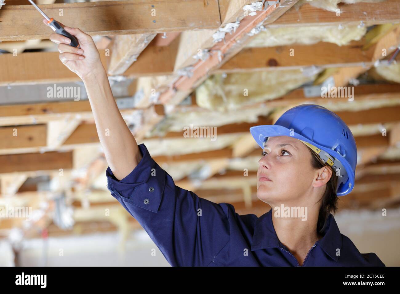 architect engineer pointing at ceiling Stock Photo - Alamy