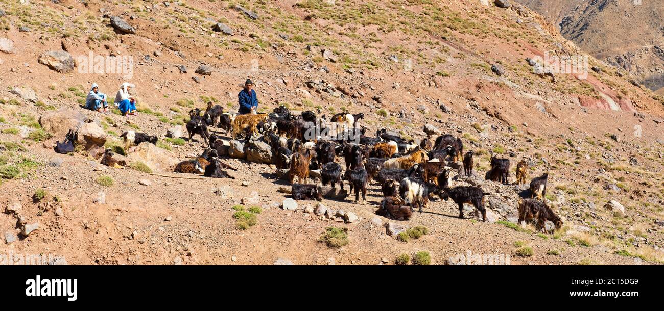Panoramic photo of a Berber goat herder on the slopes of Tizi n ...