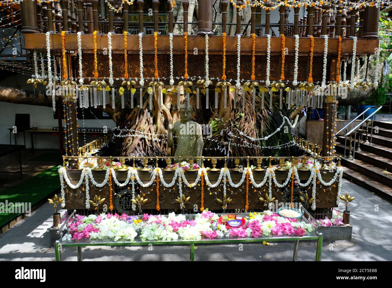Sri Lanka Colombo - Bodhi Tree or Tree of awakening in Gangaramaya ...