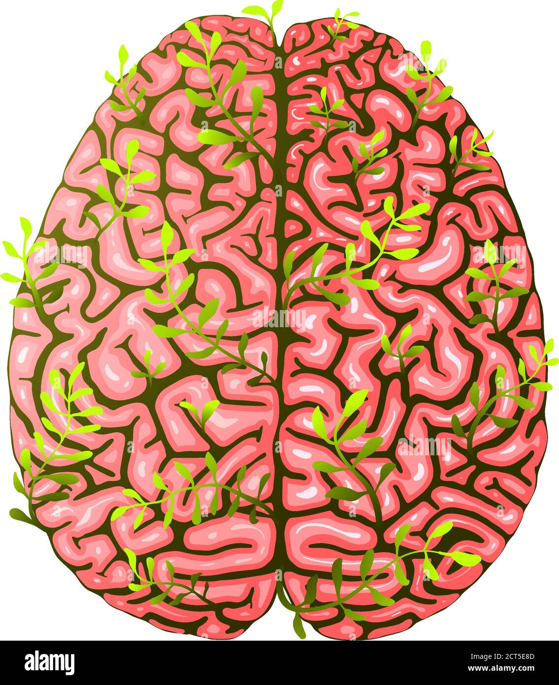 Healthy Smart Human Growing Brain Green Eco Floral Design Stock Vector ...