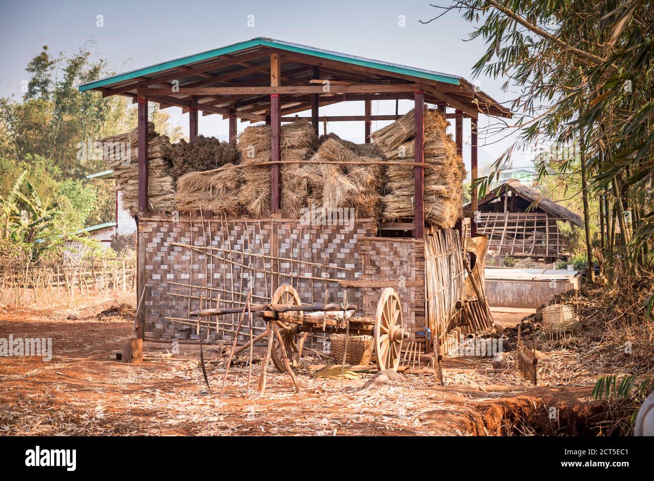 Farming between Inle Lake and Kalaw, a popular 2 day trek in Shan State ...