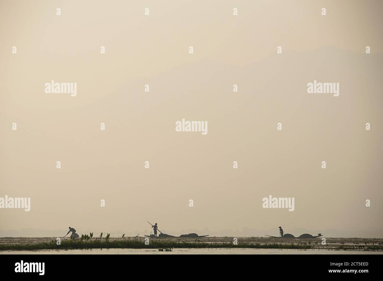 Intha people collecting weed from Inle Lake, near Nyaungshwe, Shan ...