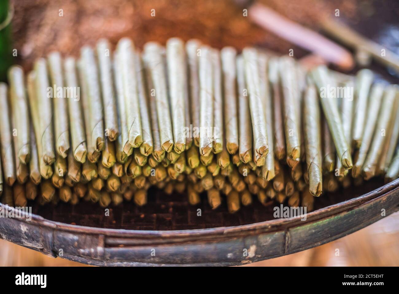 Burmese Cigar High Resolution Stock Photography and Images - Alamy