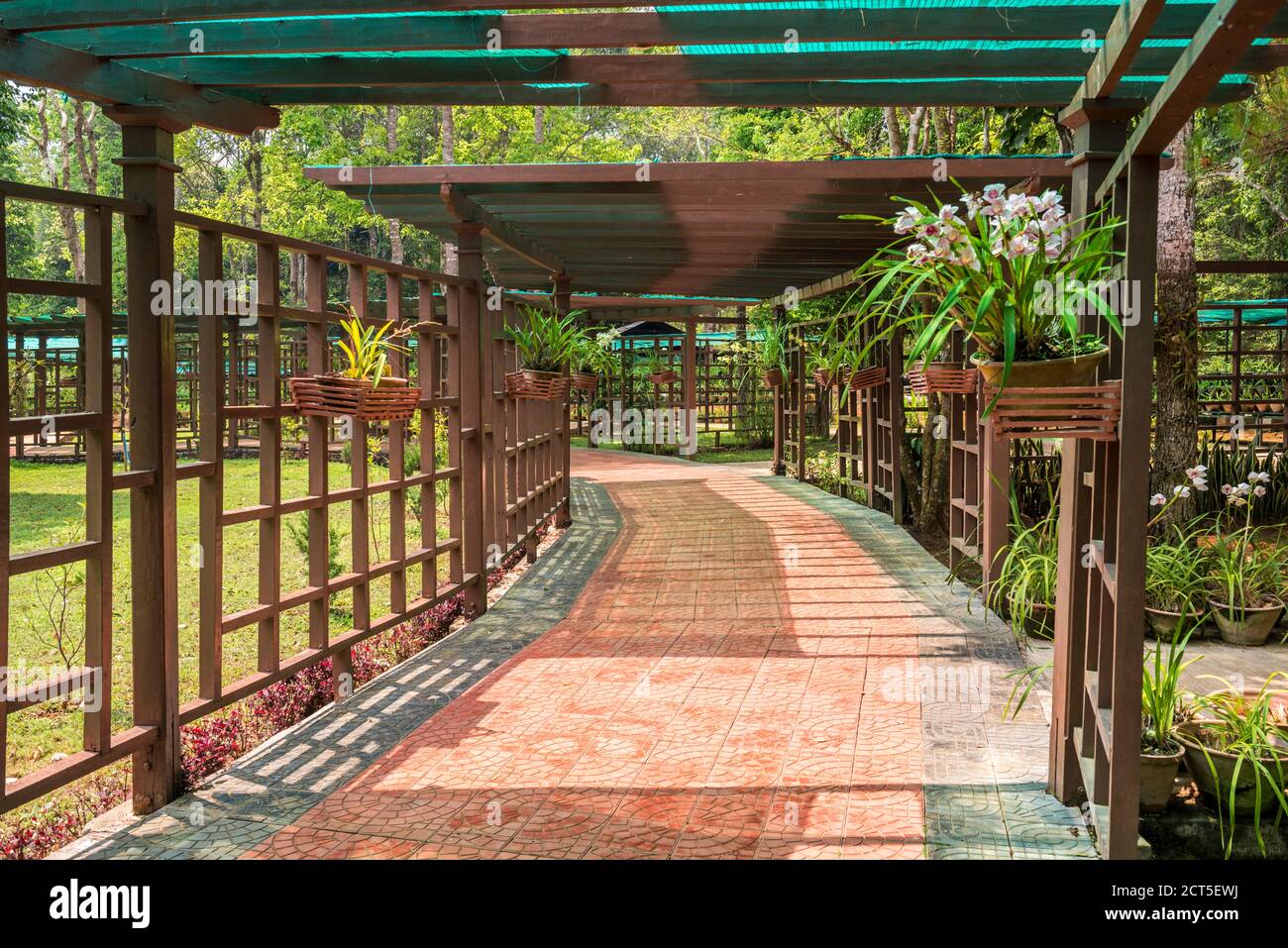 Orchid Garden, National Kandawgyi Botanical Gardens, Pyin Oo Lwin (aka ...