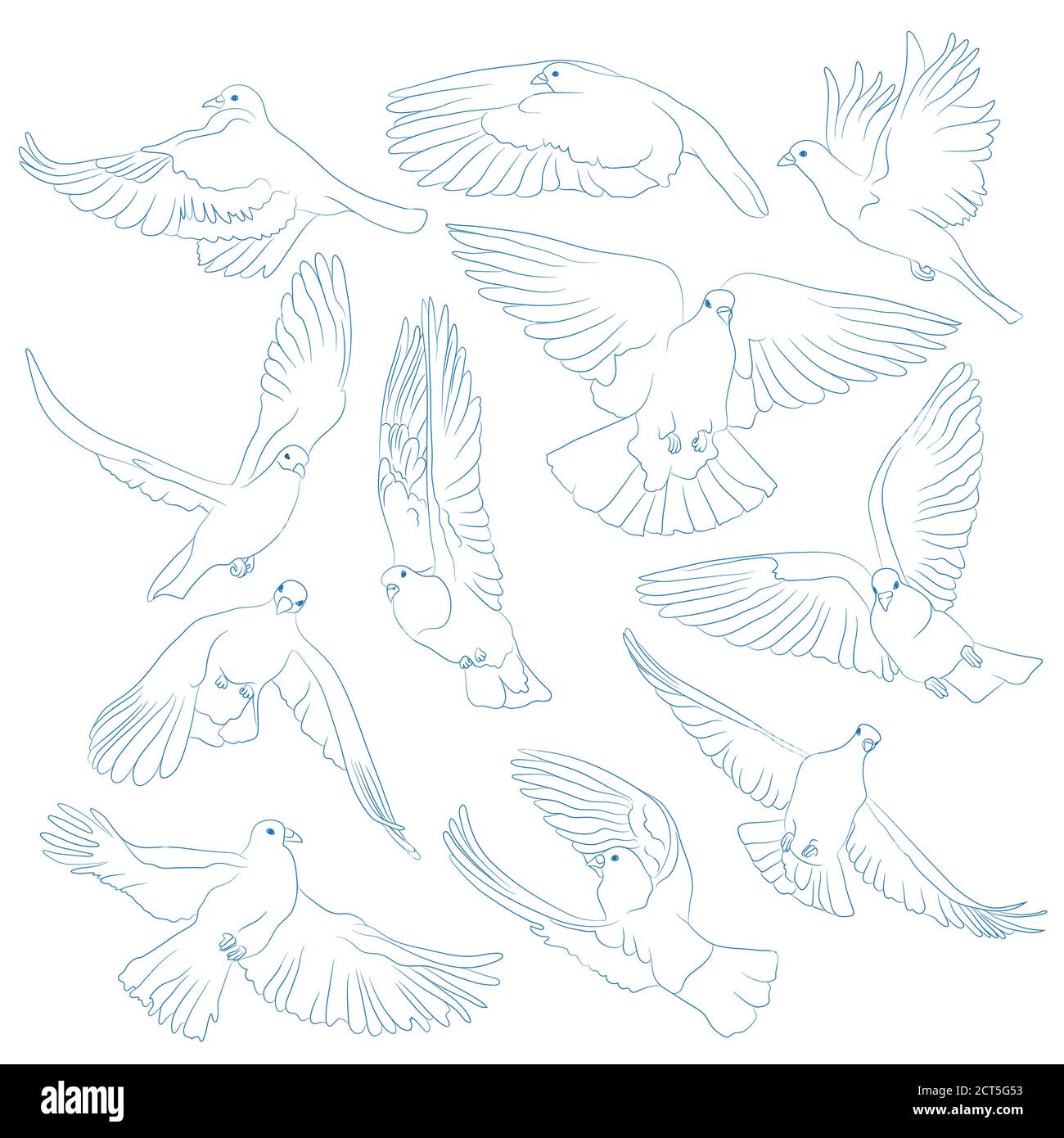 Set of isolated flying birds. Vector illustration Stock Vector Image ...