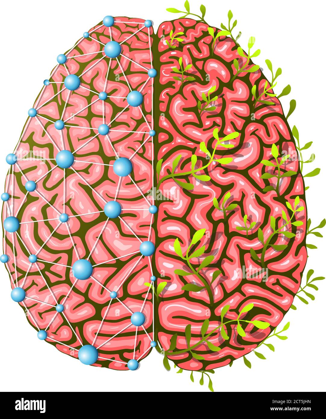 Human brain cartoon top hi-res stock photography and images - Alamy