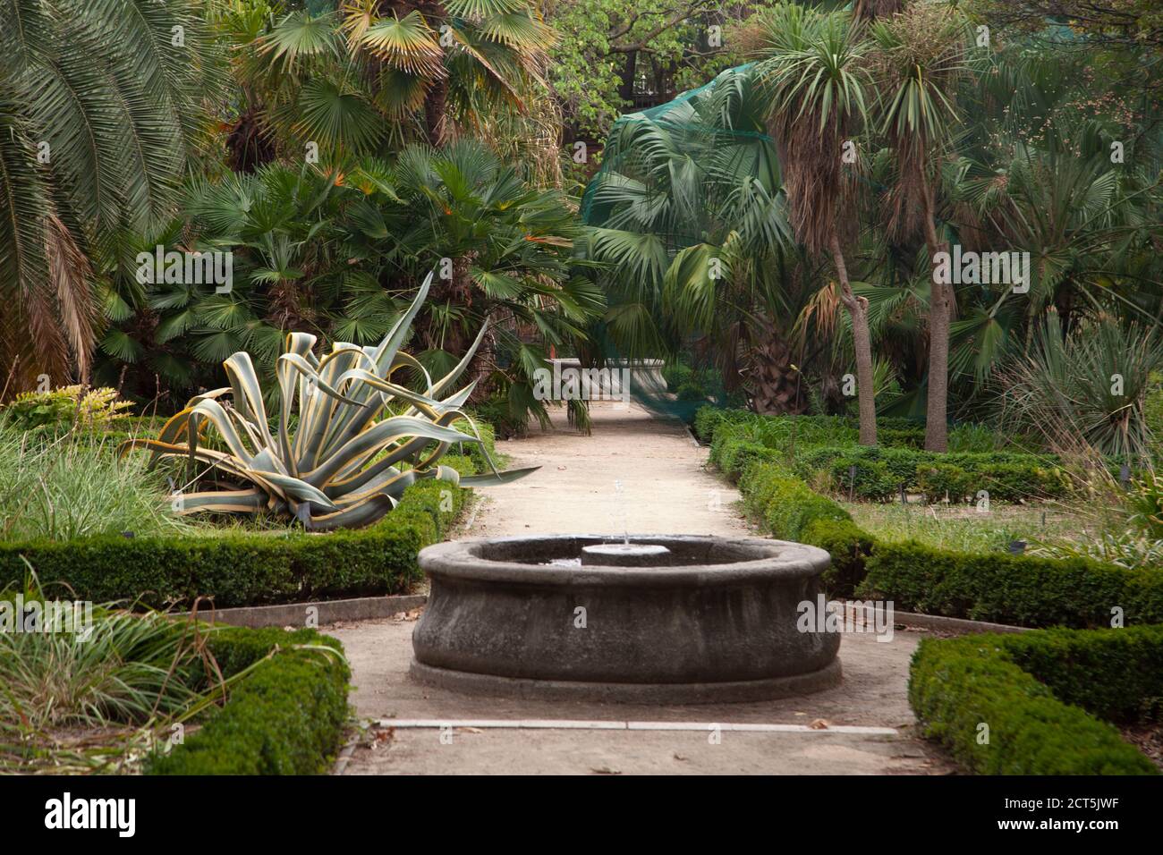 royal botanical garden, Madrid Stock Photo - Alamy