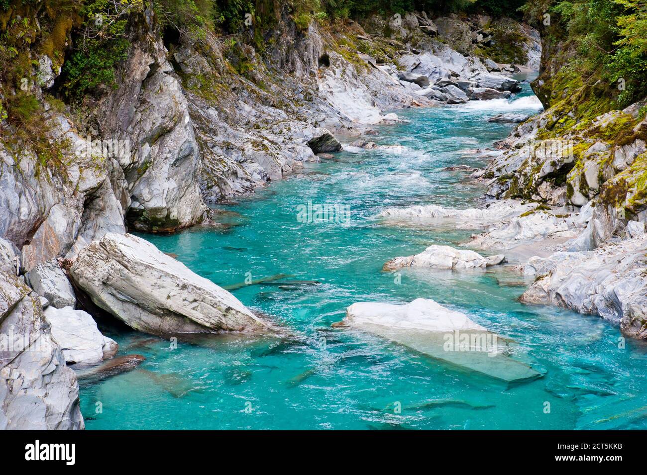 Icey Blue River in the Westland National Park, West Coast, South Island ...