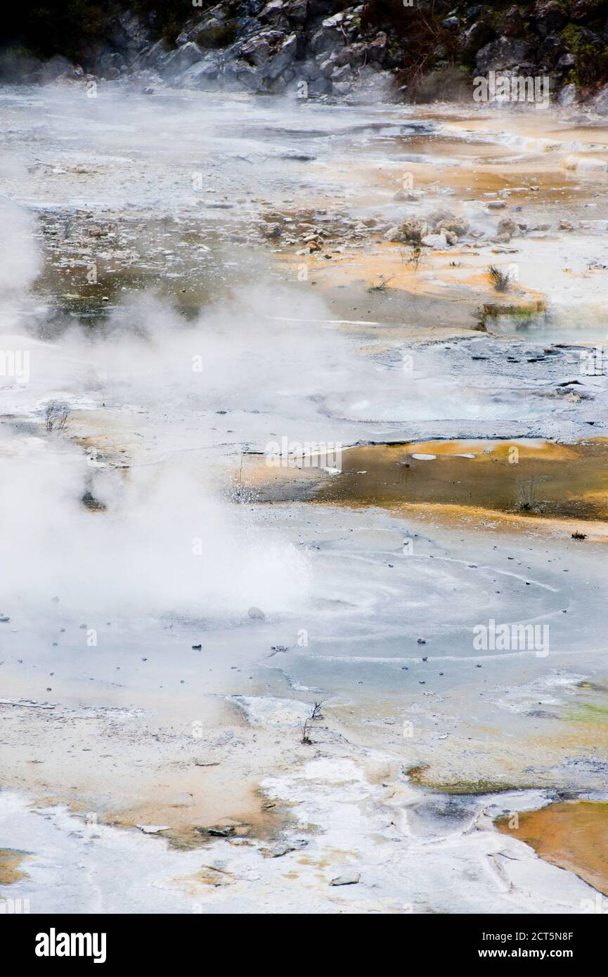 Steaming Hot Pools at Orakei Korako Thermal Park, The Hidden Valley ...