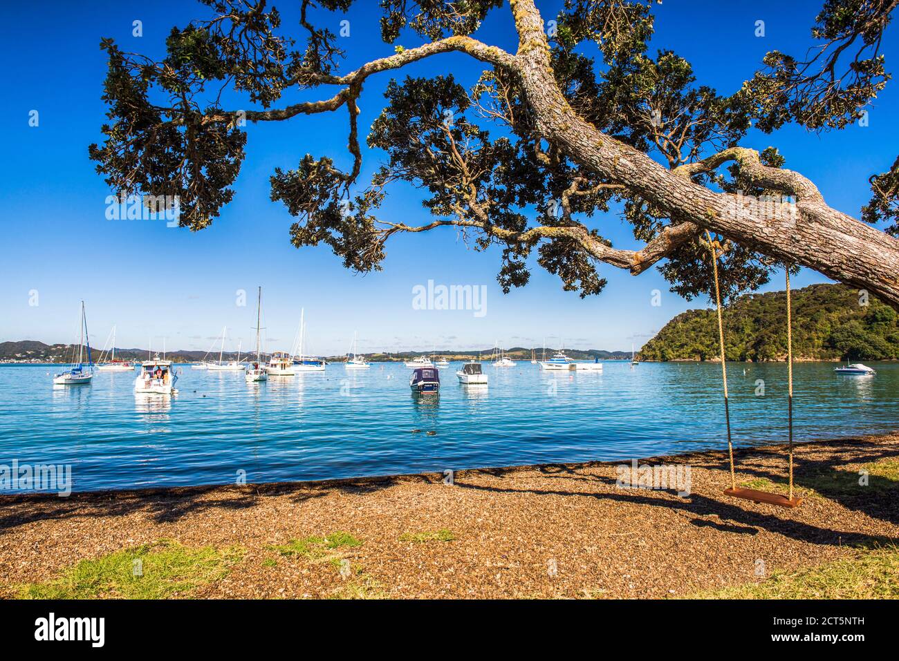 Swing on Russell Beach waterfront, Bay of Islands, Northland Region ...