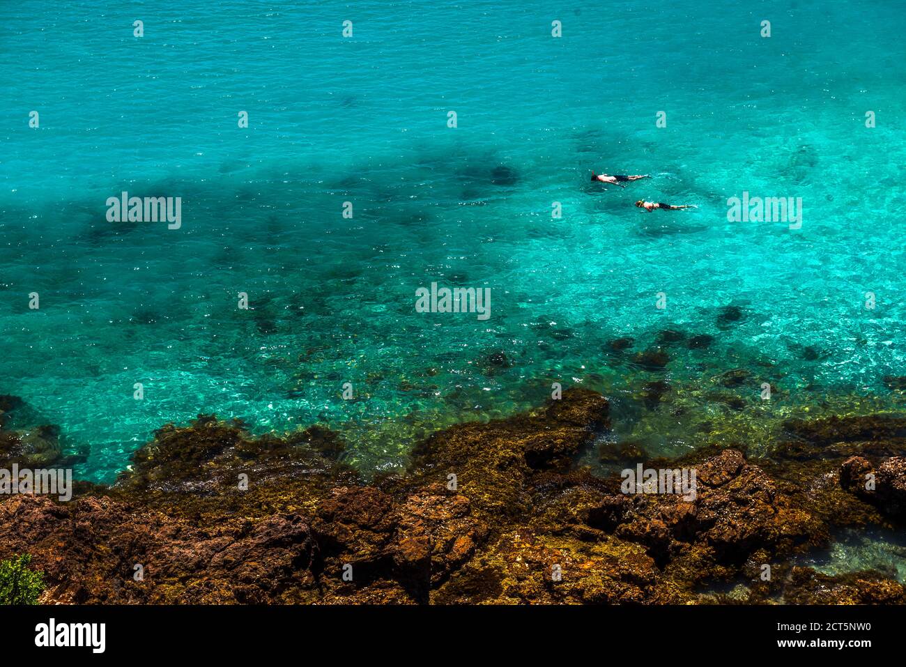 Snorkeling in the Bay of Islands, in the Waikare Inlet, while on a boat ...