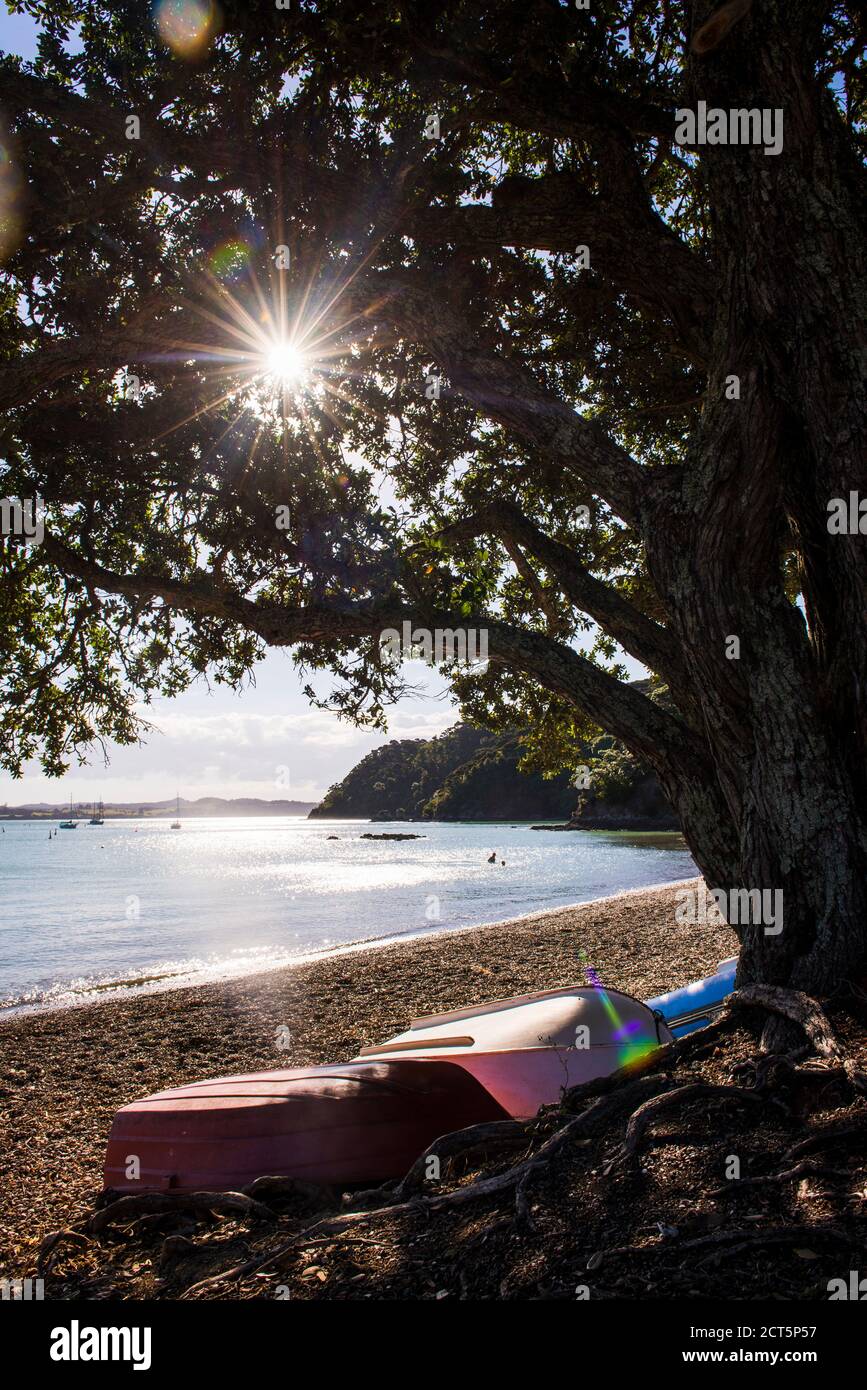 Boats on Russell Beach, Bay of Islands, Northland Region, North Island ...