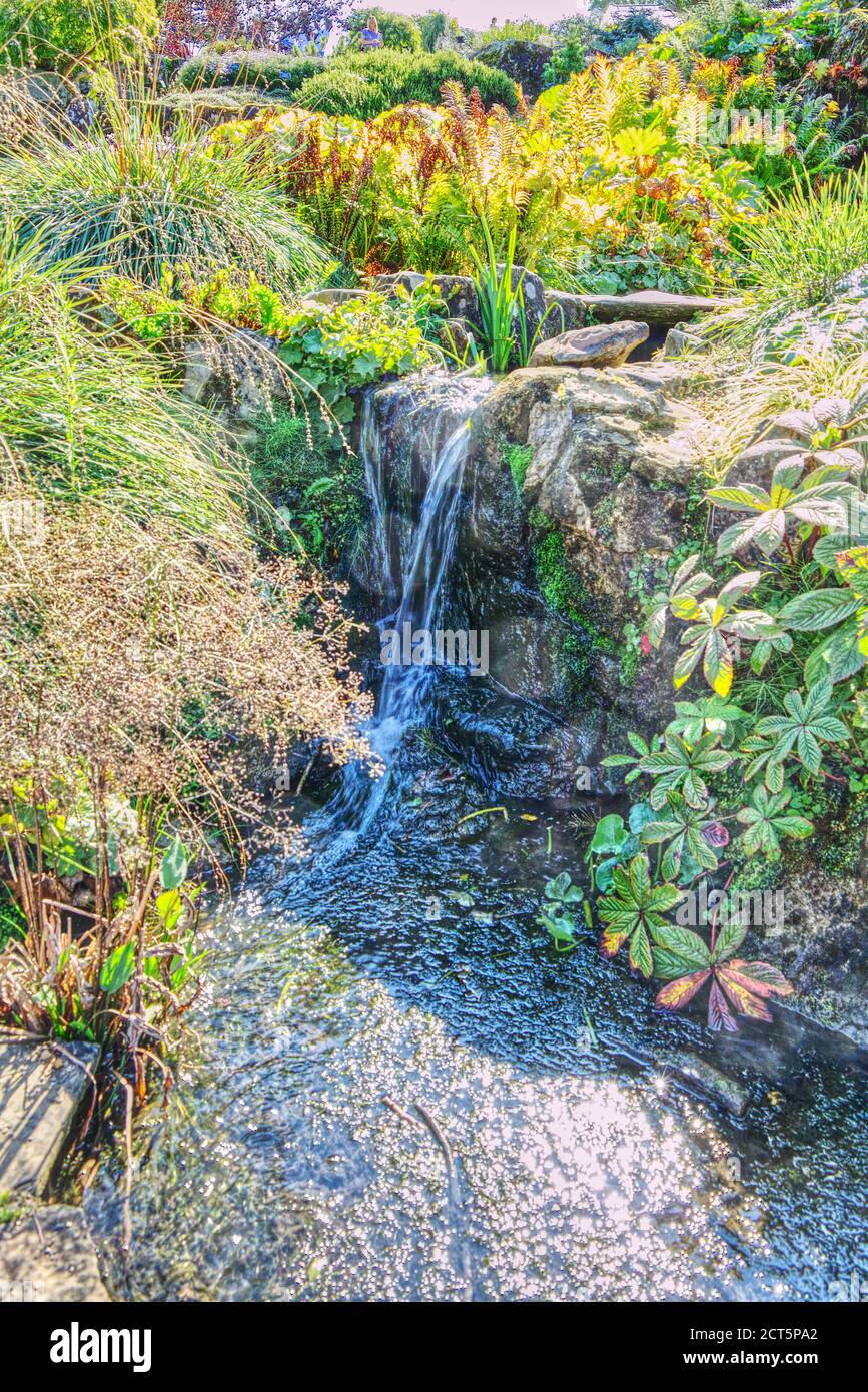 Cascading waterfall runs into a pond in the Rock Garden at RHS Garden ...