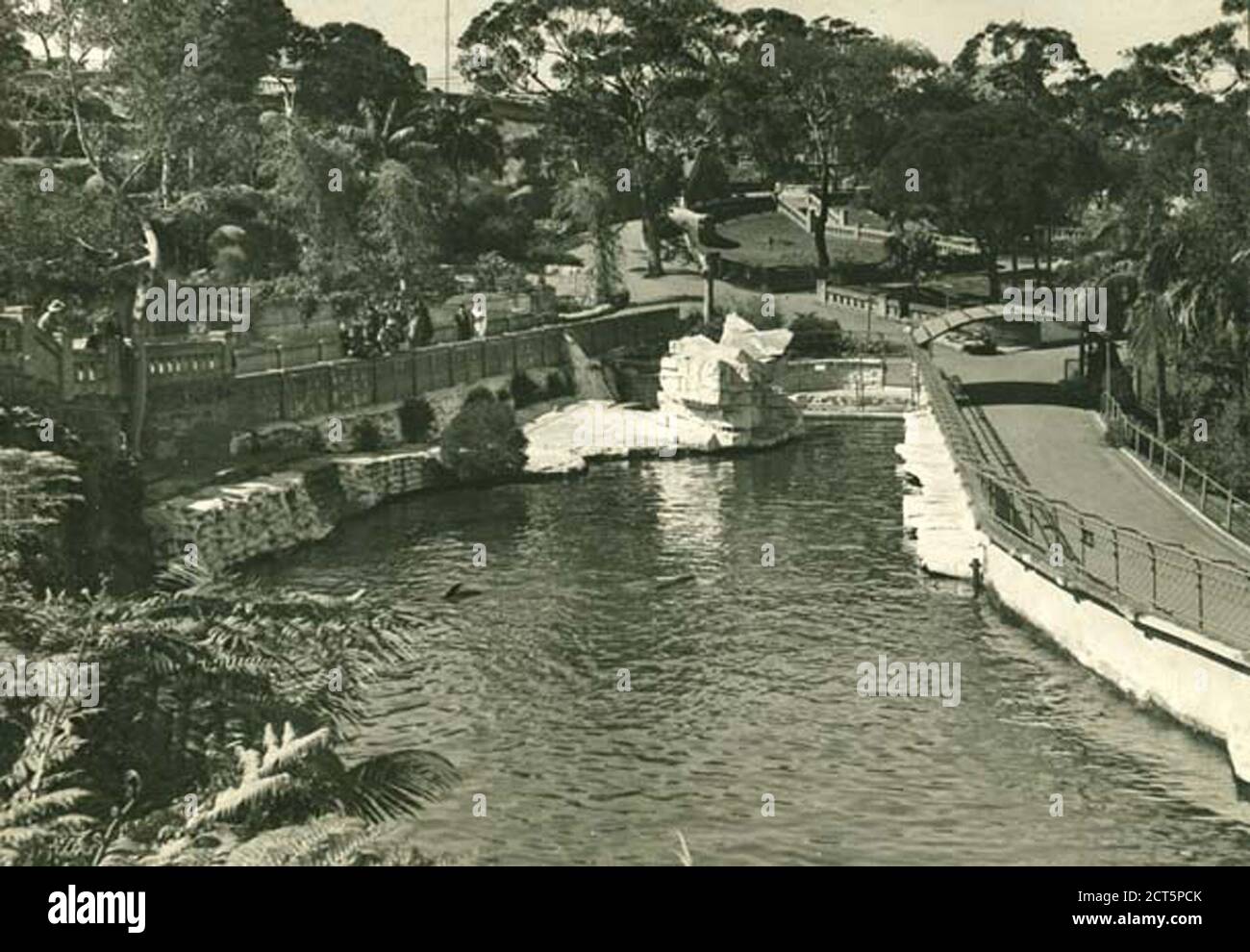 Taronga park hi-res stock photography and images - Alamy