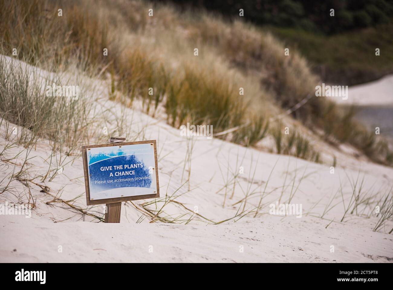 'Give the plants a chance' conservation sign at Rarawa Beach in ...