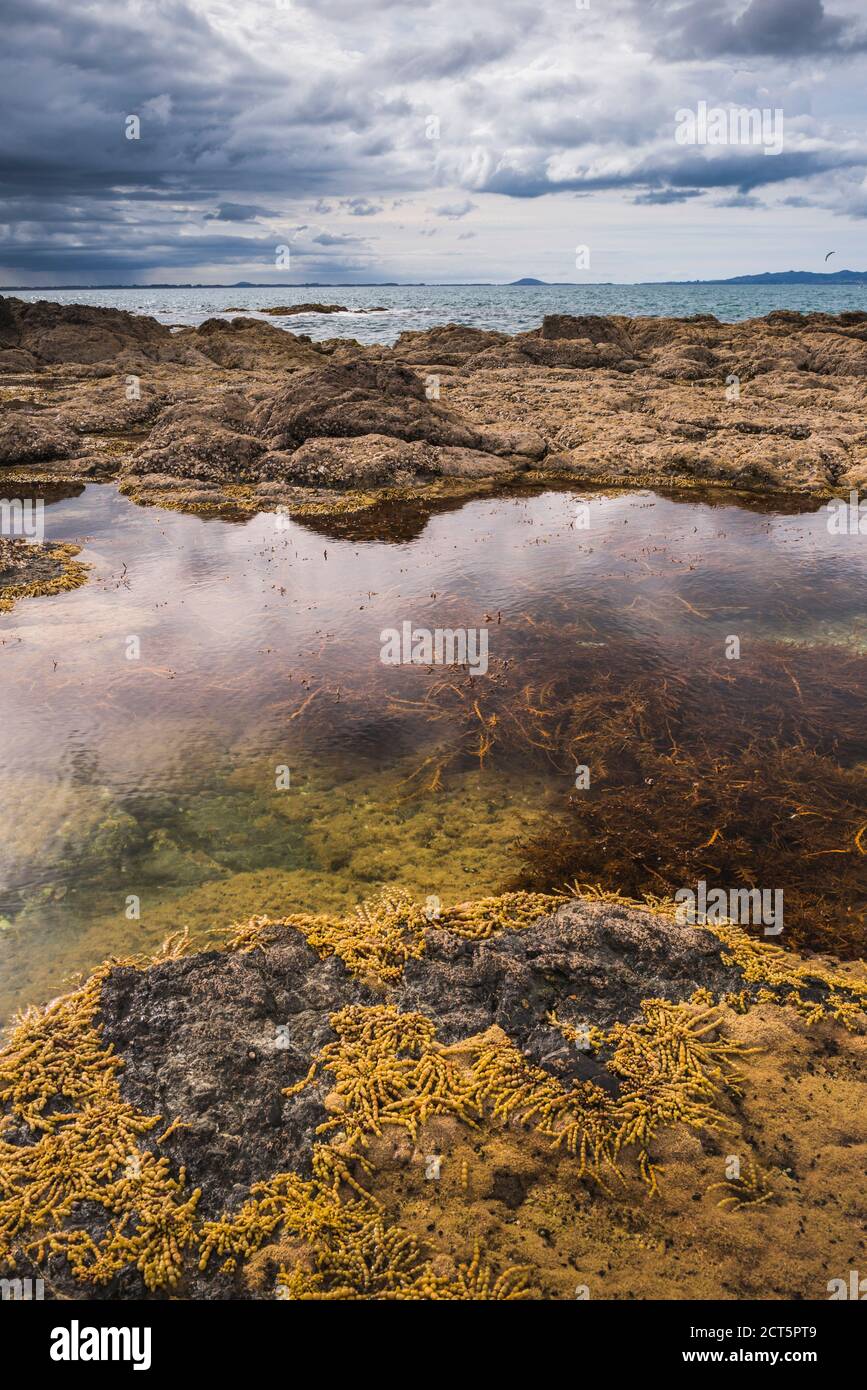 Cable Bay, Doubtless Bay, Northland Region, North Island, New Zealand ...
