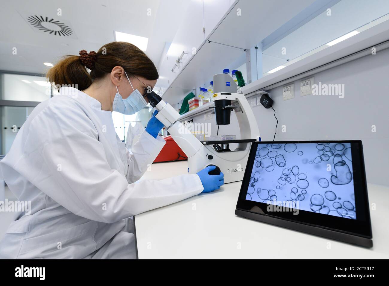 Dresden, Germany. 21st Sep, 2020. Claudia Ball, scientific laboratory ...