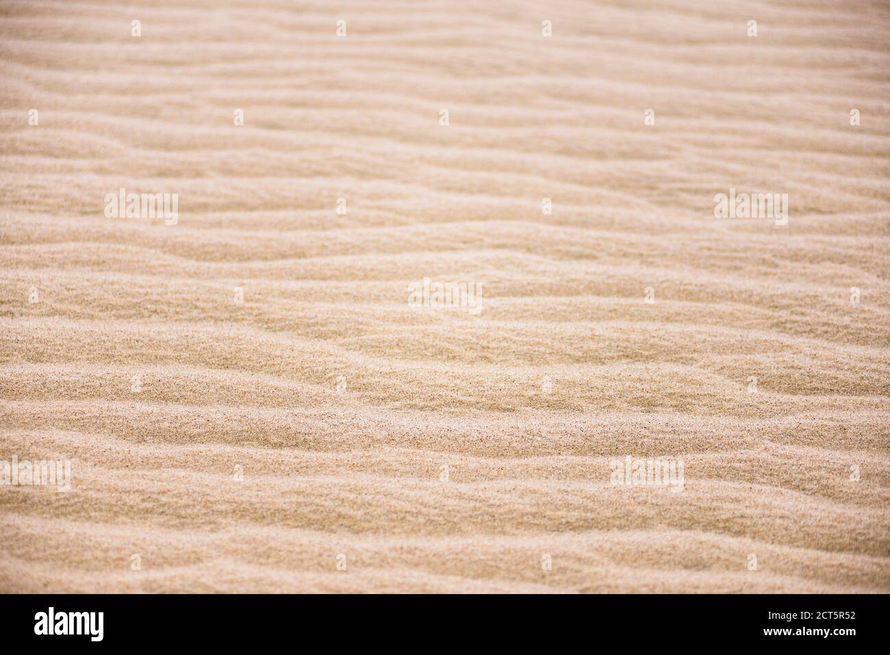 Sand close up detail at Te Paki Sand Dunes, 90 Mile Beach, New Zealand ...
