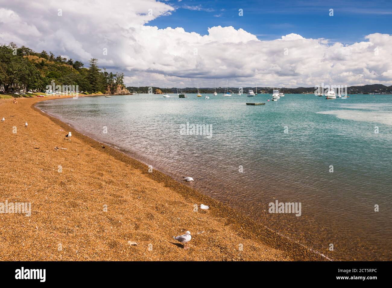 Beach Waterfront Russell Bay Islands High Resolution Stock Photography ...