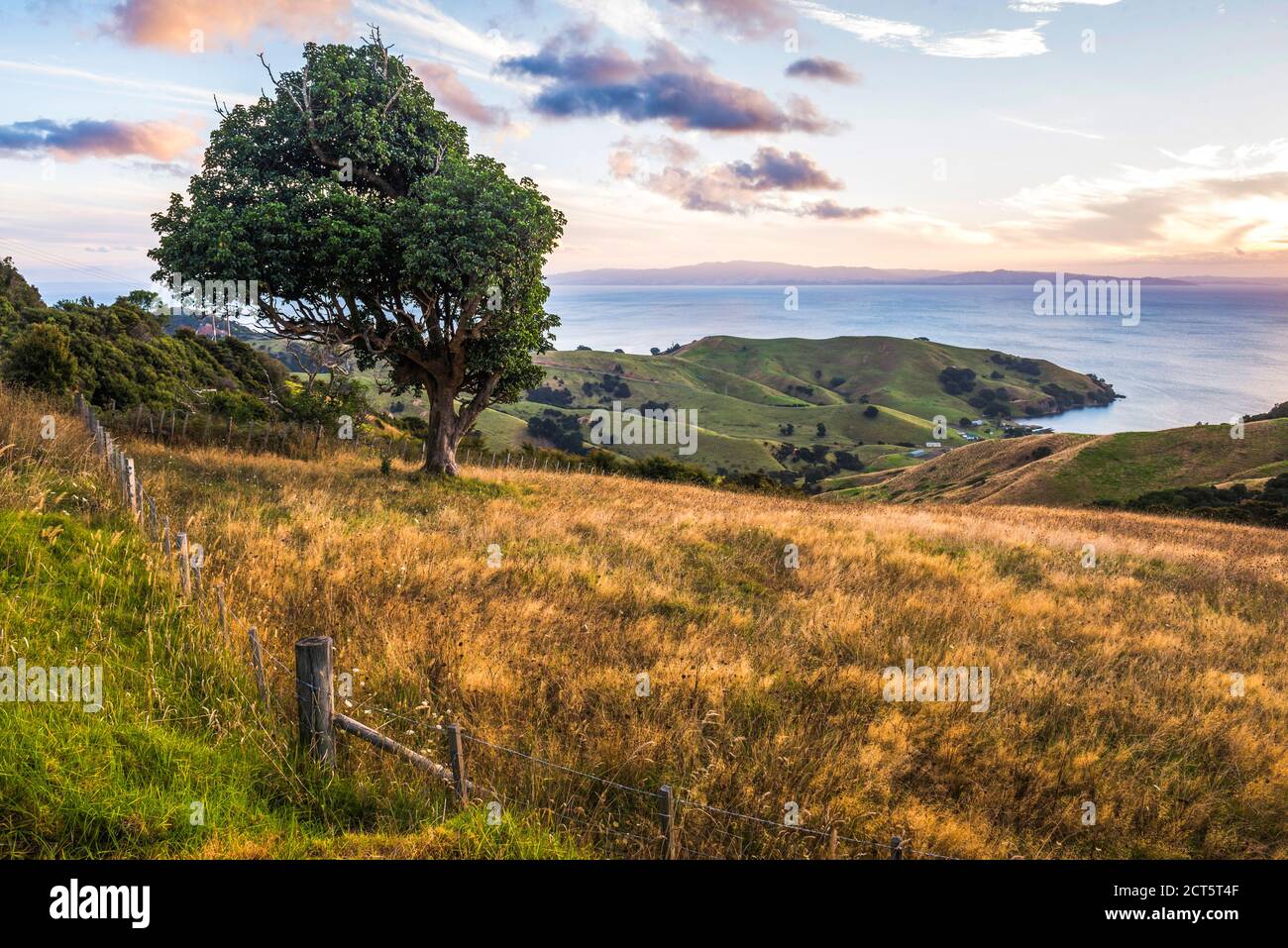 Countryside at Coromandel Town, Coromandel Peninsula, New Zealand North ...