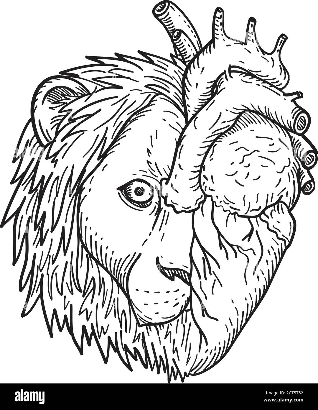 Black and white drawing sketch style illustration of a lion-hearted ...