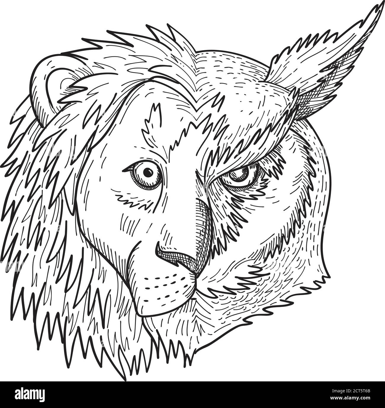 Half Lion Half Tiger Half Lion Half Tiger Hi Res Stock Photography And