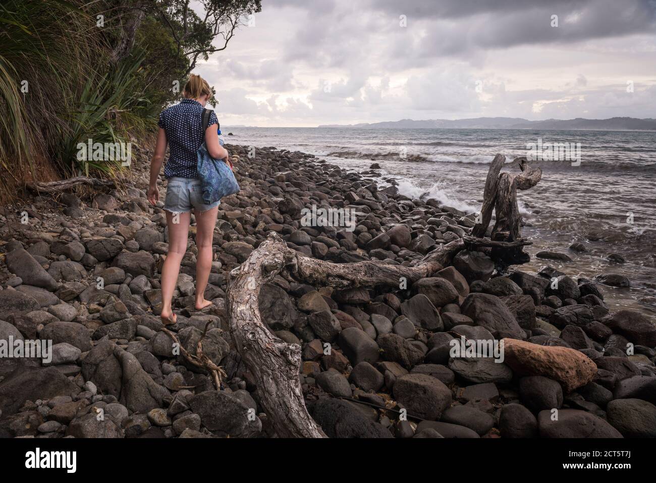 Walk to New Chums Beach, Coromandel Peninsula, New Zealand North Island ...