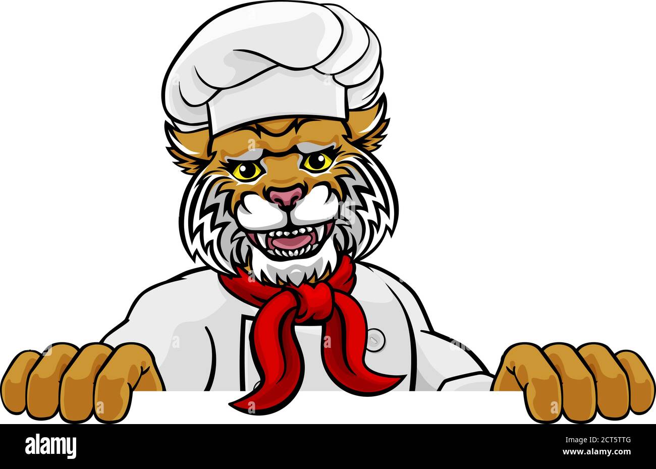 Wildcat Chef Mascot Sign Cartoon Character Stock Vector Image & Art - Alamy