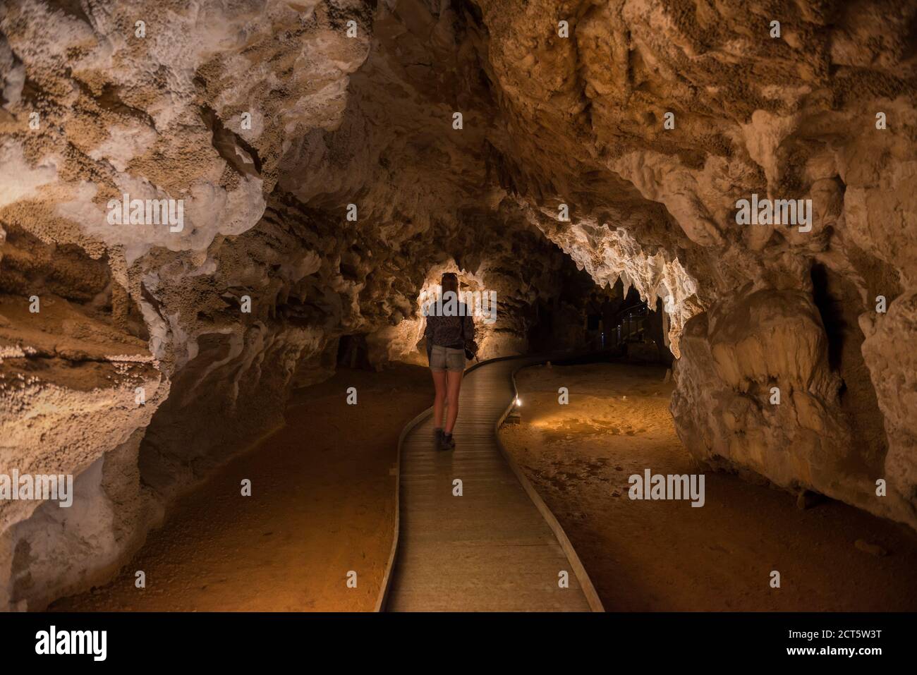 Tourist in Waitomo Caves, Waikato Region, North Island, New Zealand ...