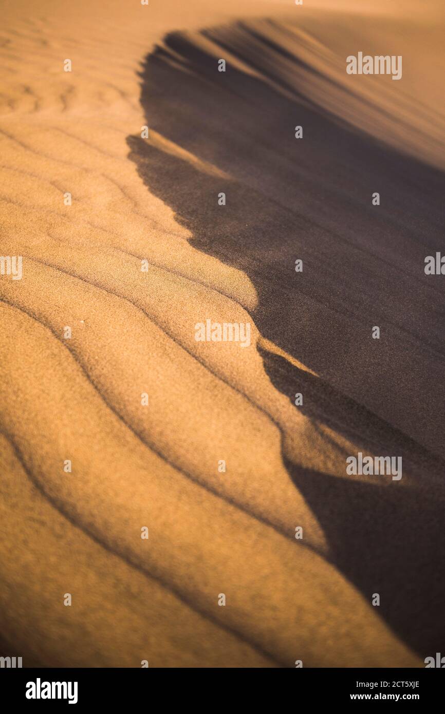 Sand dune patterns in the desert, Huacachina, Ica Region, Peru, South ...