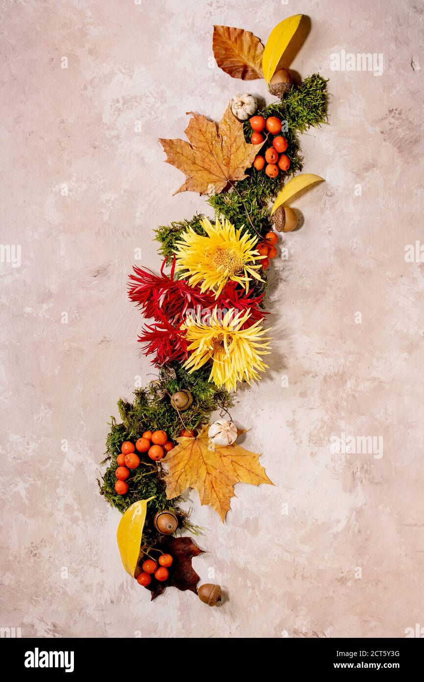 Composition pumpkins autumn flowers berries hi-res stock photography ...