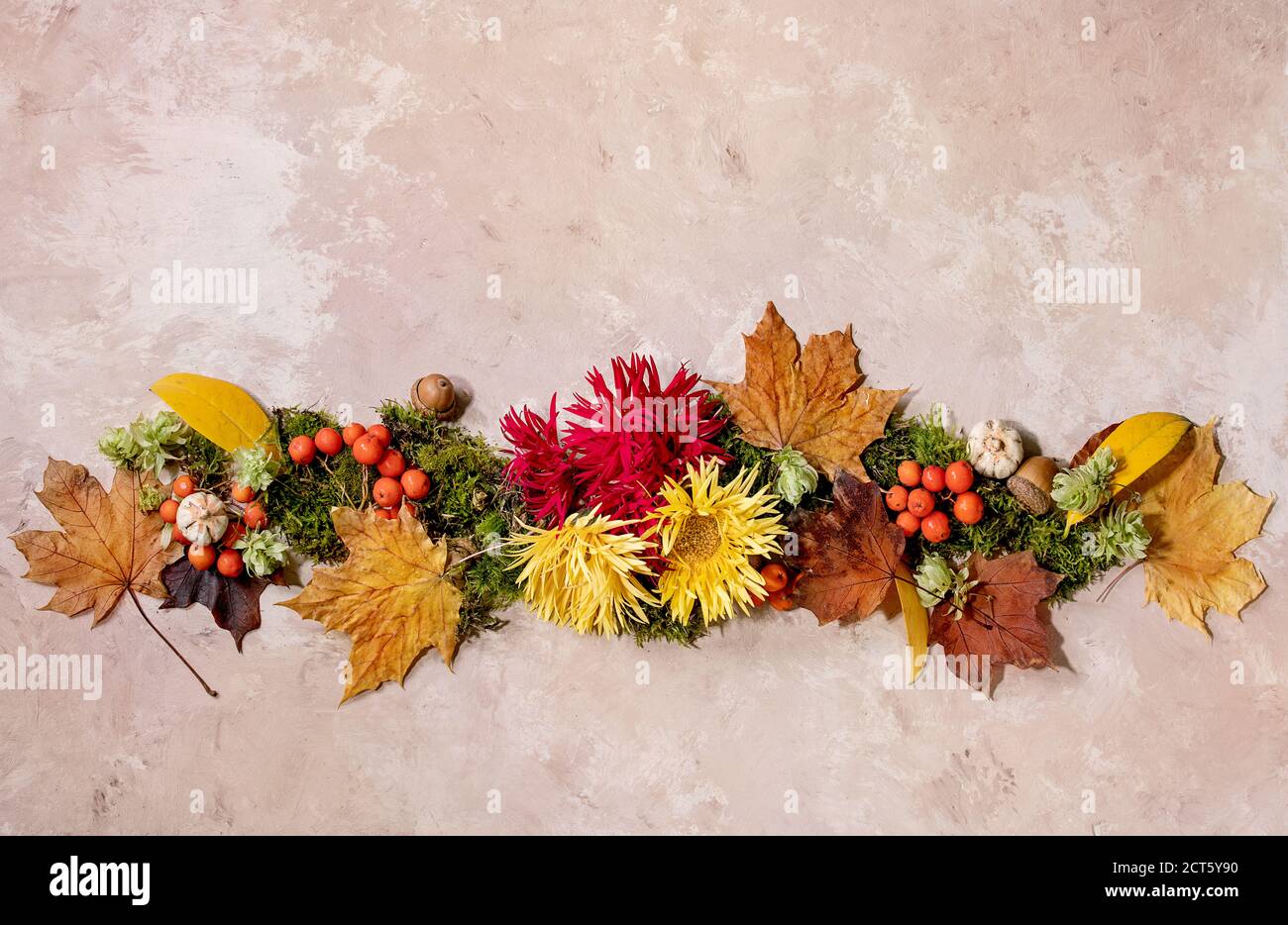 Composition pumpkins autumn flowers berries hi-res stock photography ...
