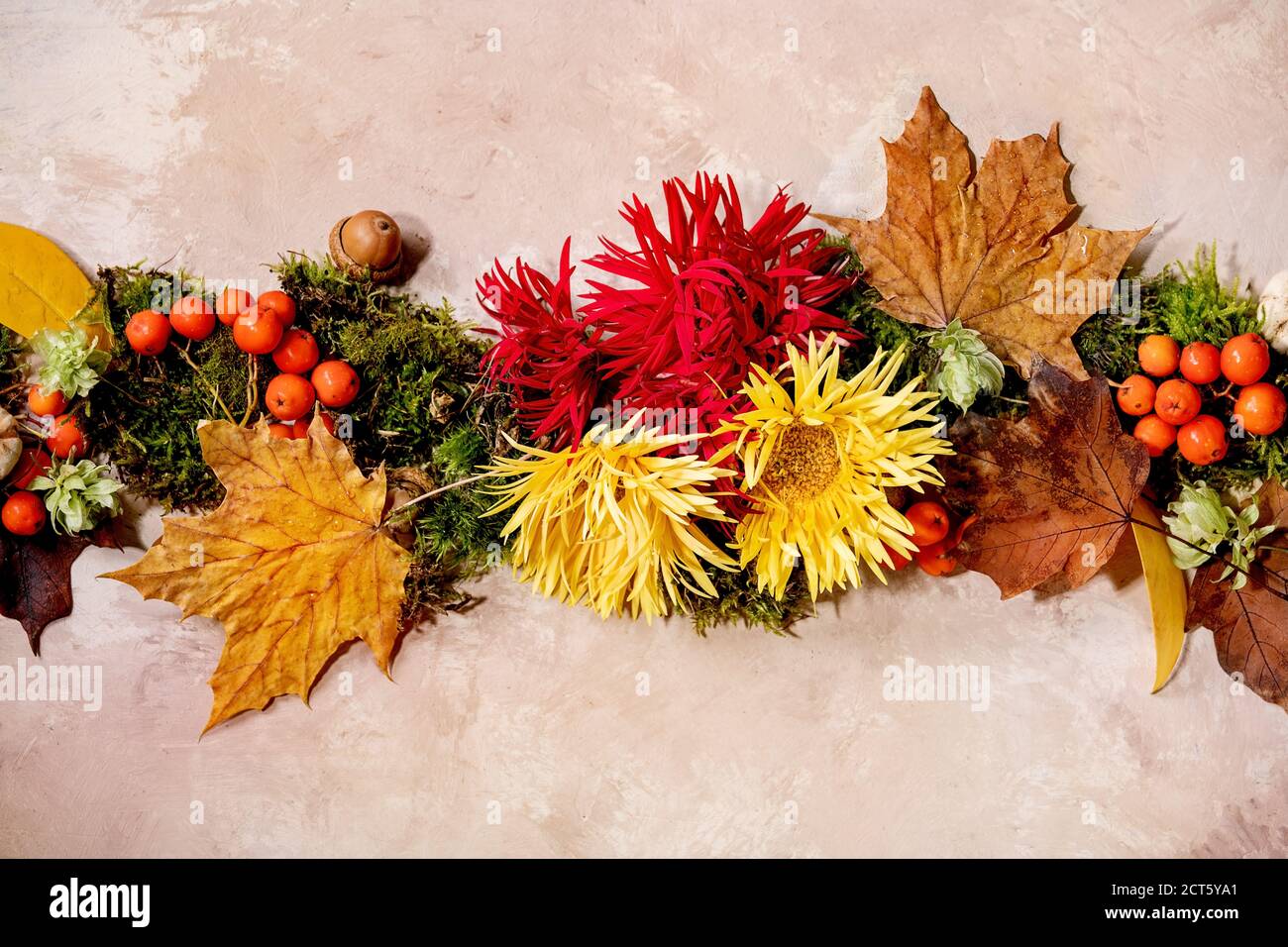 Composition pumpkins autumn flowers berries hi-res stock photography ...