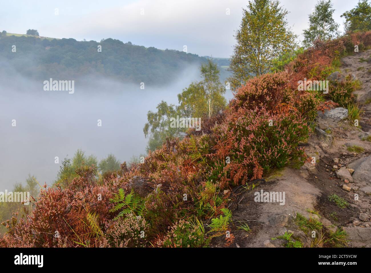 Heather and cloud inversion by footpath to Hell Hole Rocks, Heptonstall ...