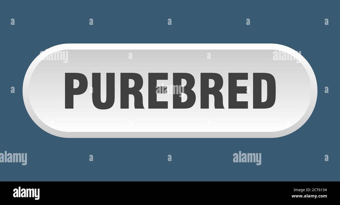 purebred button. rounded sign isolated on white background Stock Vector ...