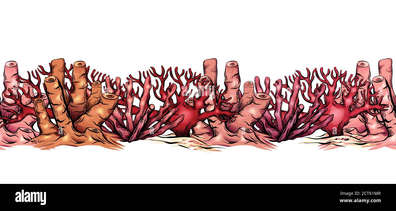 Seamless border of various colorful cartoon corals. The object is ...