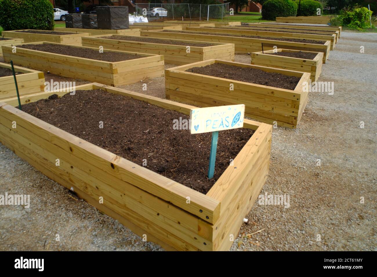 Constructing New Urban Garden on Site of 1850s English Village Built by ...