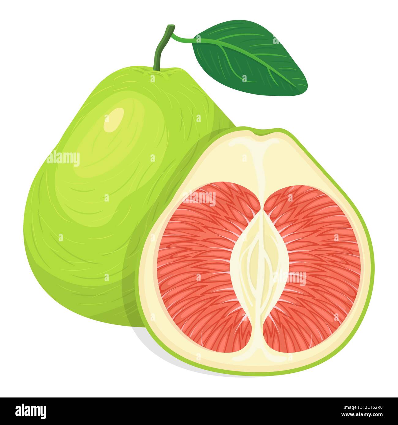 Whole pomelo Stock Vector Images - Alamy