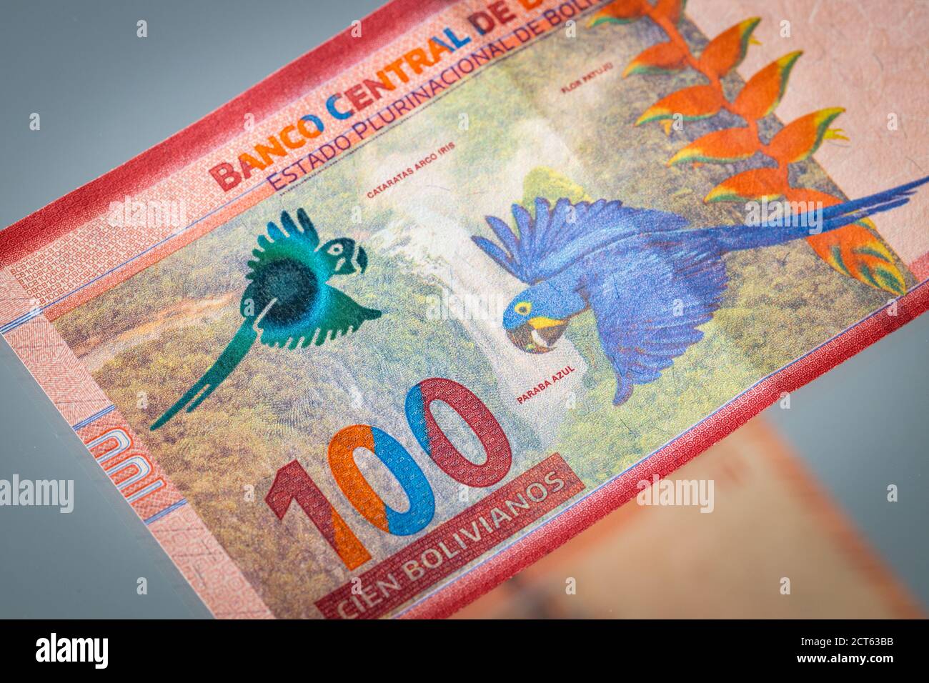 Bolivia money, Paper banknotes worth 100 Bolivianos. Both sides of the ...