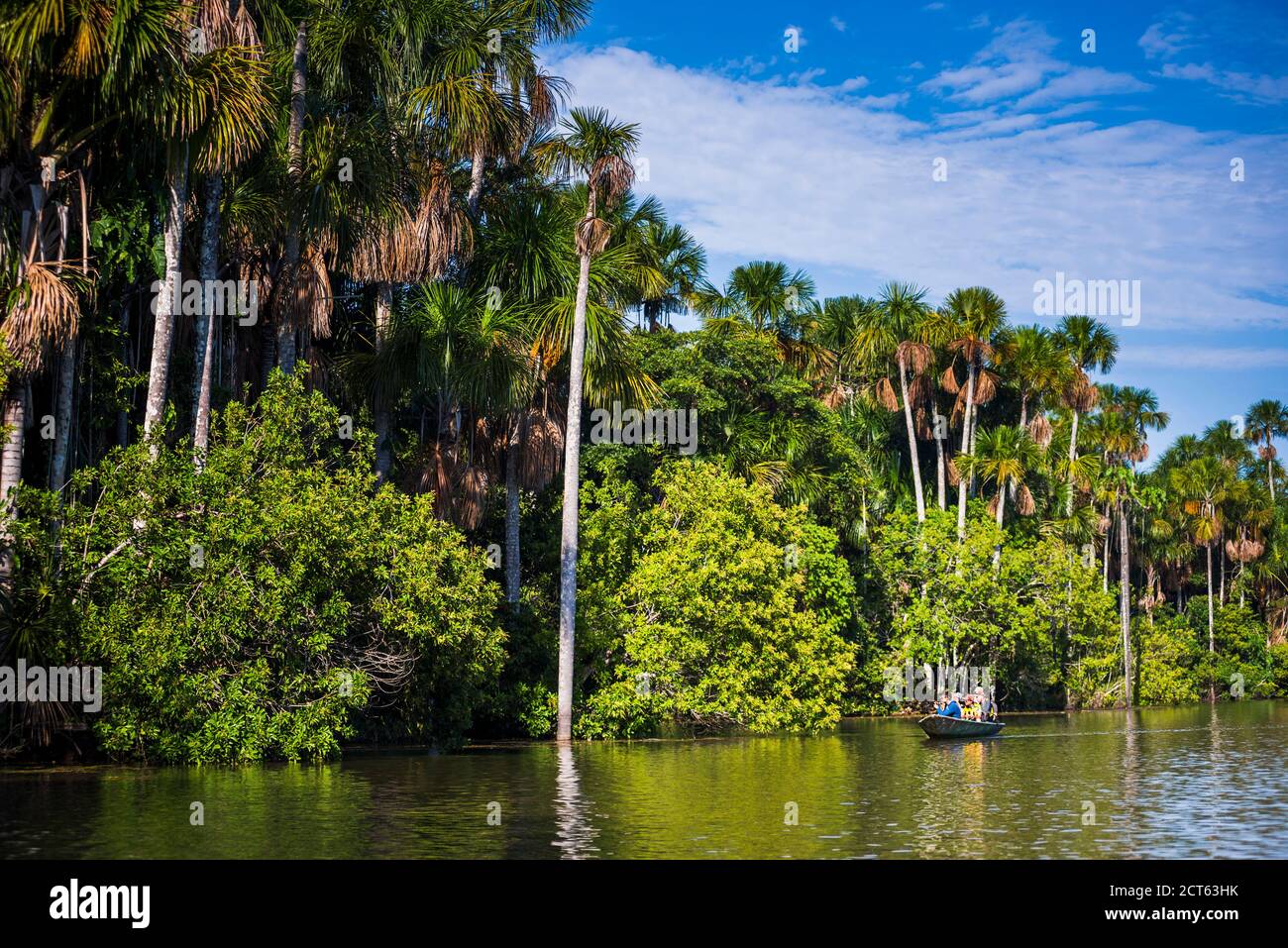 Canoe boat trip on Sandoval Lake, Tambopata National Reserve, Amazon ...
