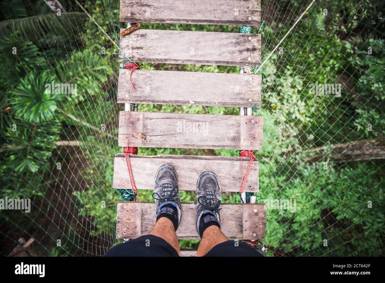 Amazon rainforest canopy bridge hi-res stock photography and images - Alamy
