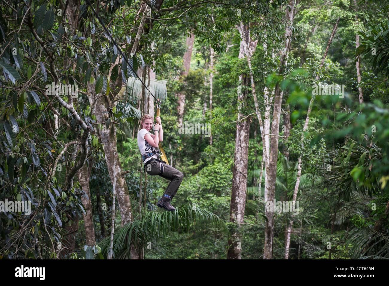 Person zip lining hi-res stock photography and images - Alamy