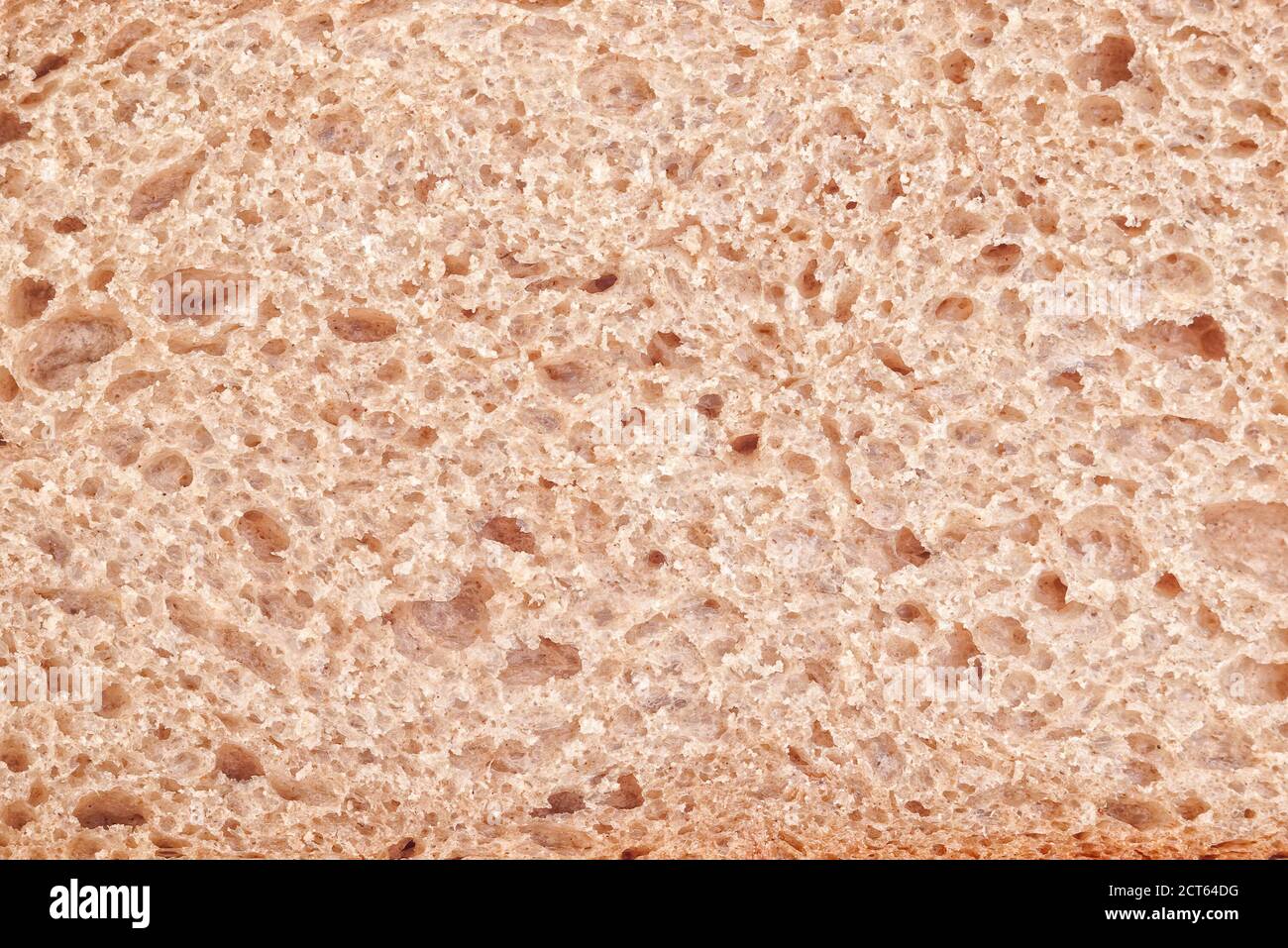 Seamless Bread Texture