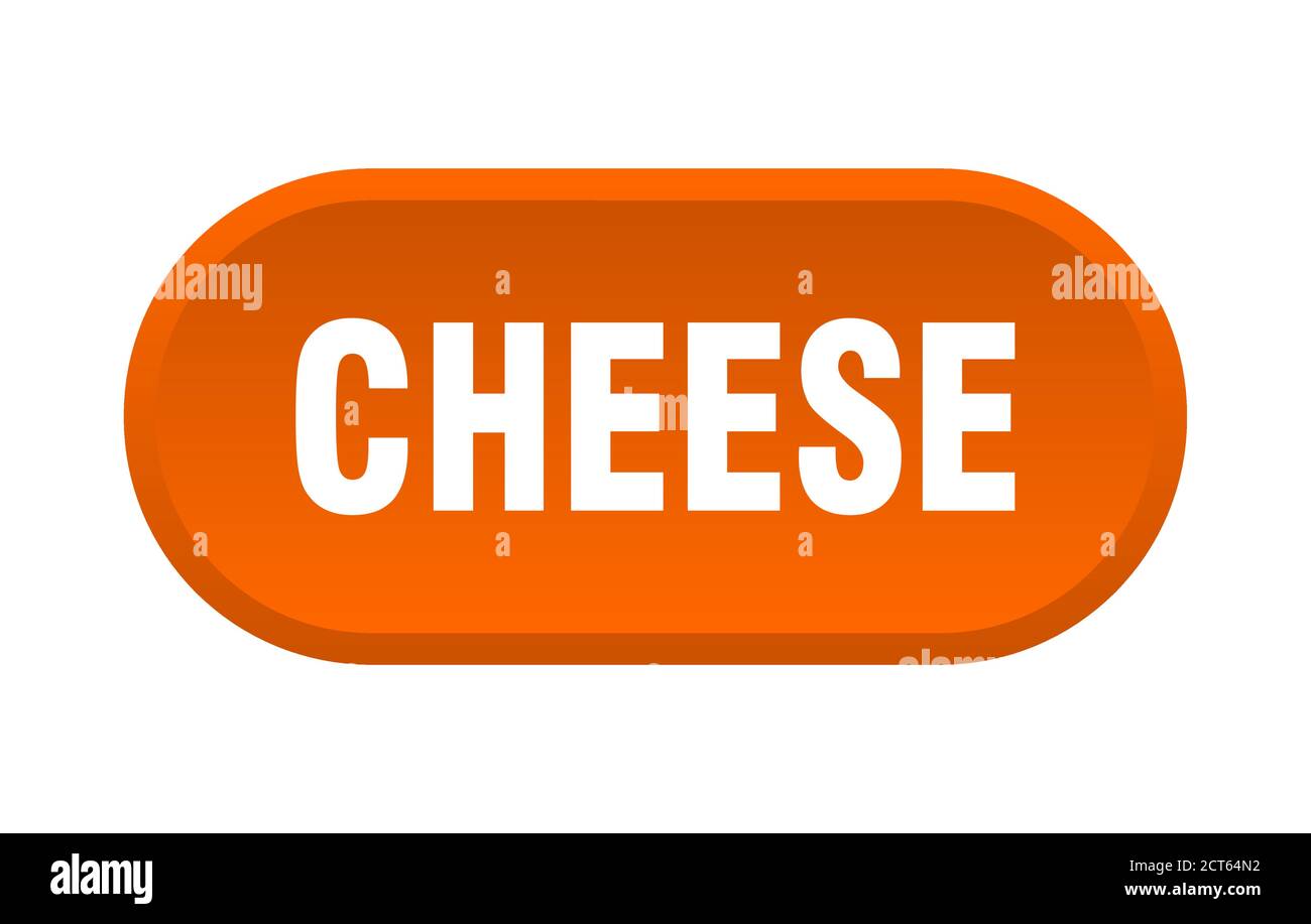 cheese button. rounded sign isolated on white background Stock Vector ...